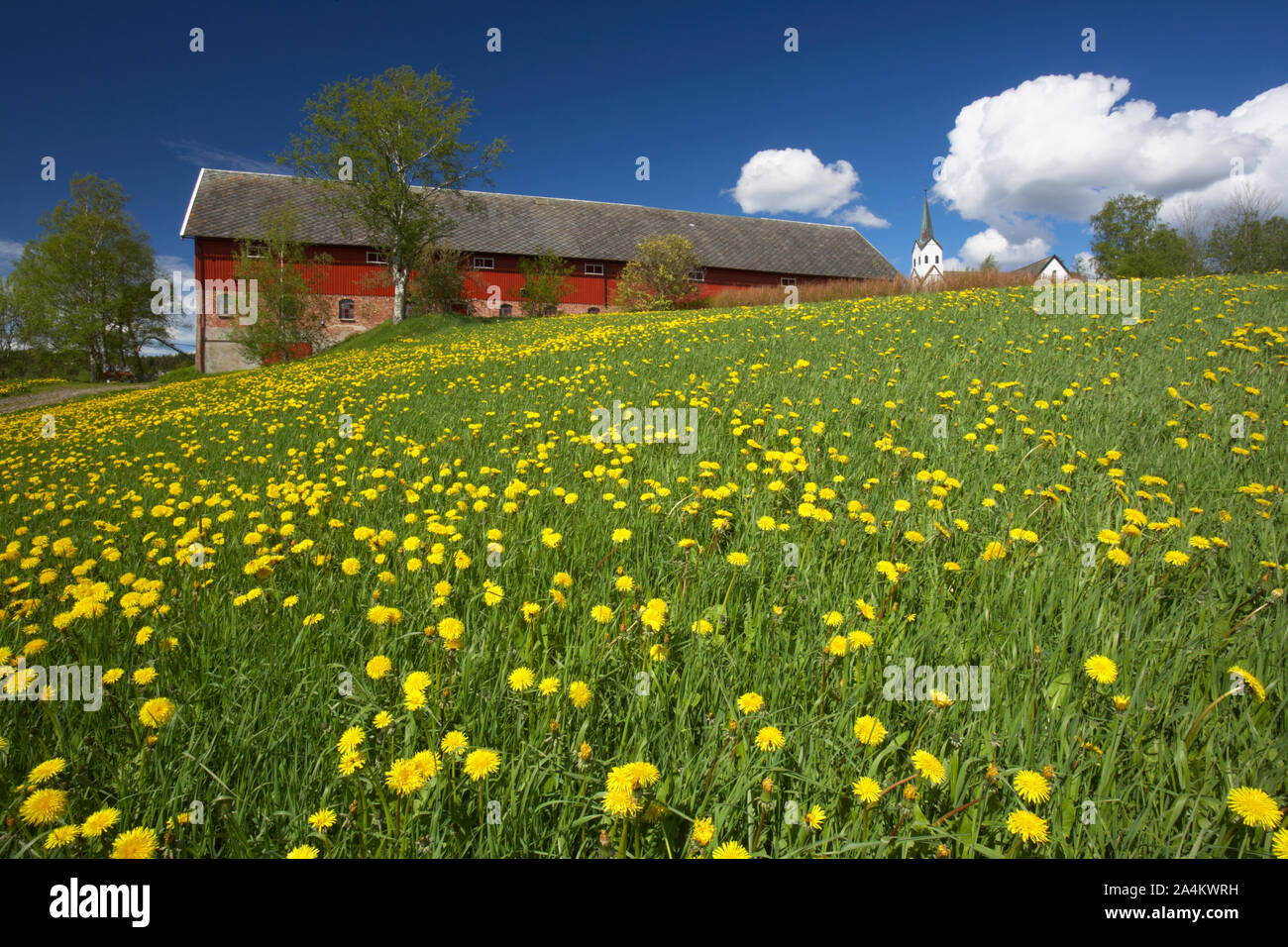 Summer farms hi-res stock photography and images - Alamy