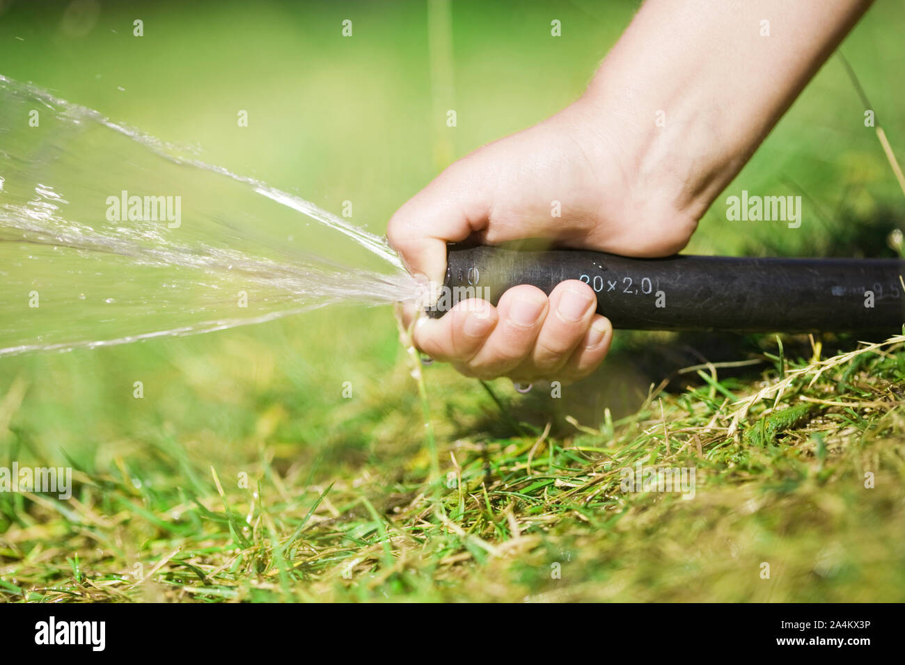 Mans hand holding garden hose Stock Photo - Alamy