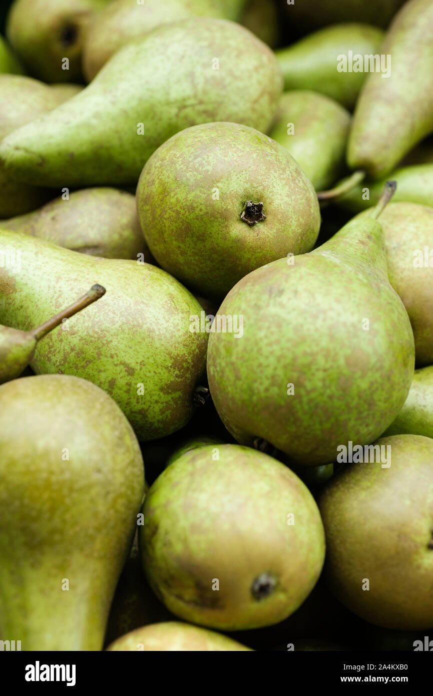 Details of pears hi-res stock photography and images - Alamy