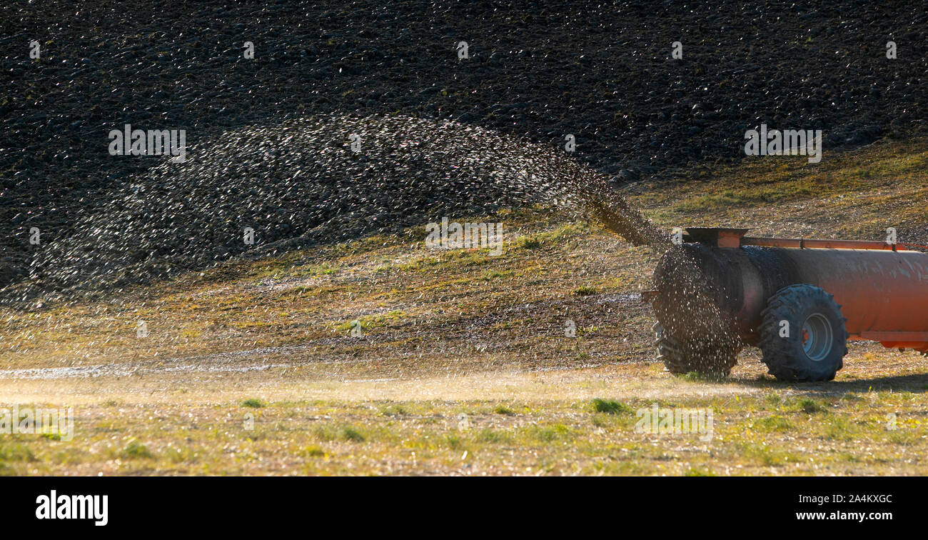 Fertilizing with manure Stock Photo - Alamy