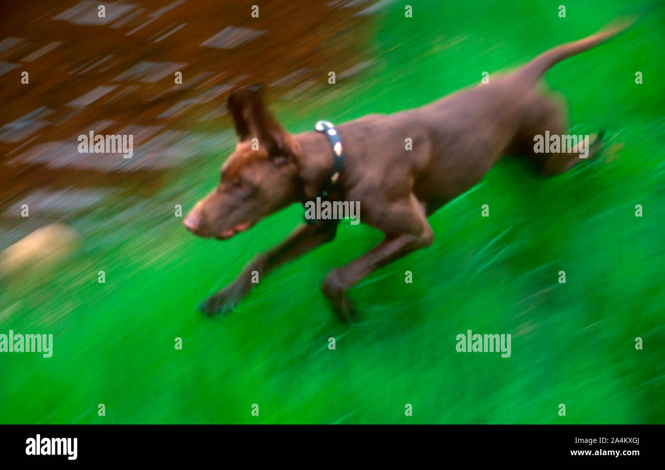 Running movements hi-res stock photography and images - Alamy