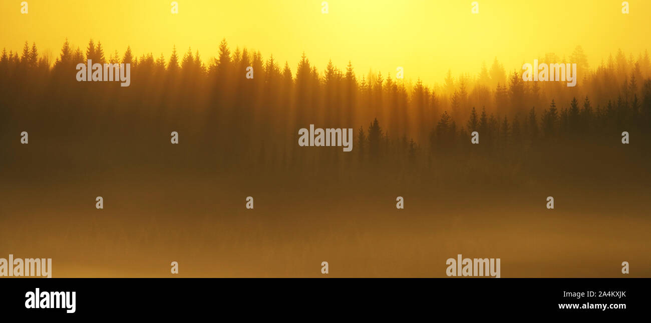 Nordmarka hi-res stock photography and images - Alamy