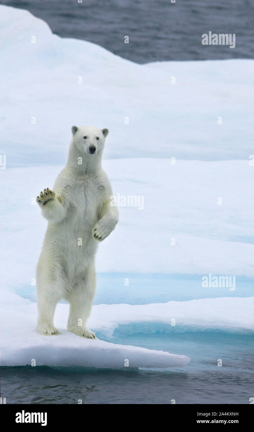Waving good bye hi-res stock photography and images - Alamy