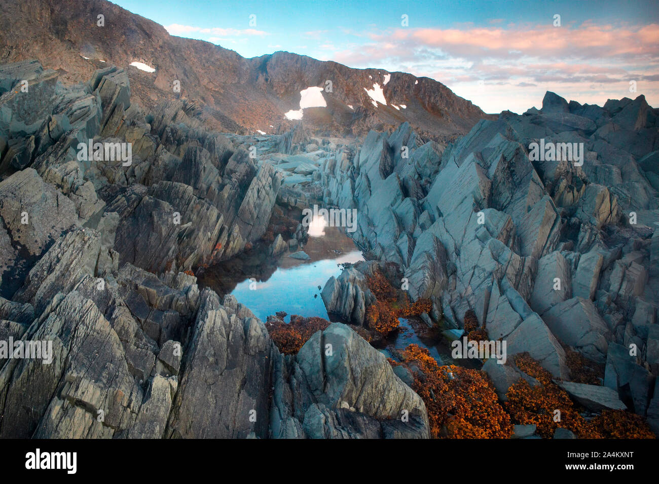 Ccc ponds hi-res stock photography and images - Alamy