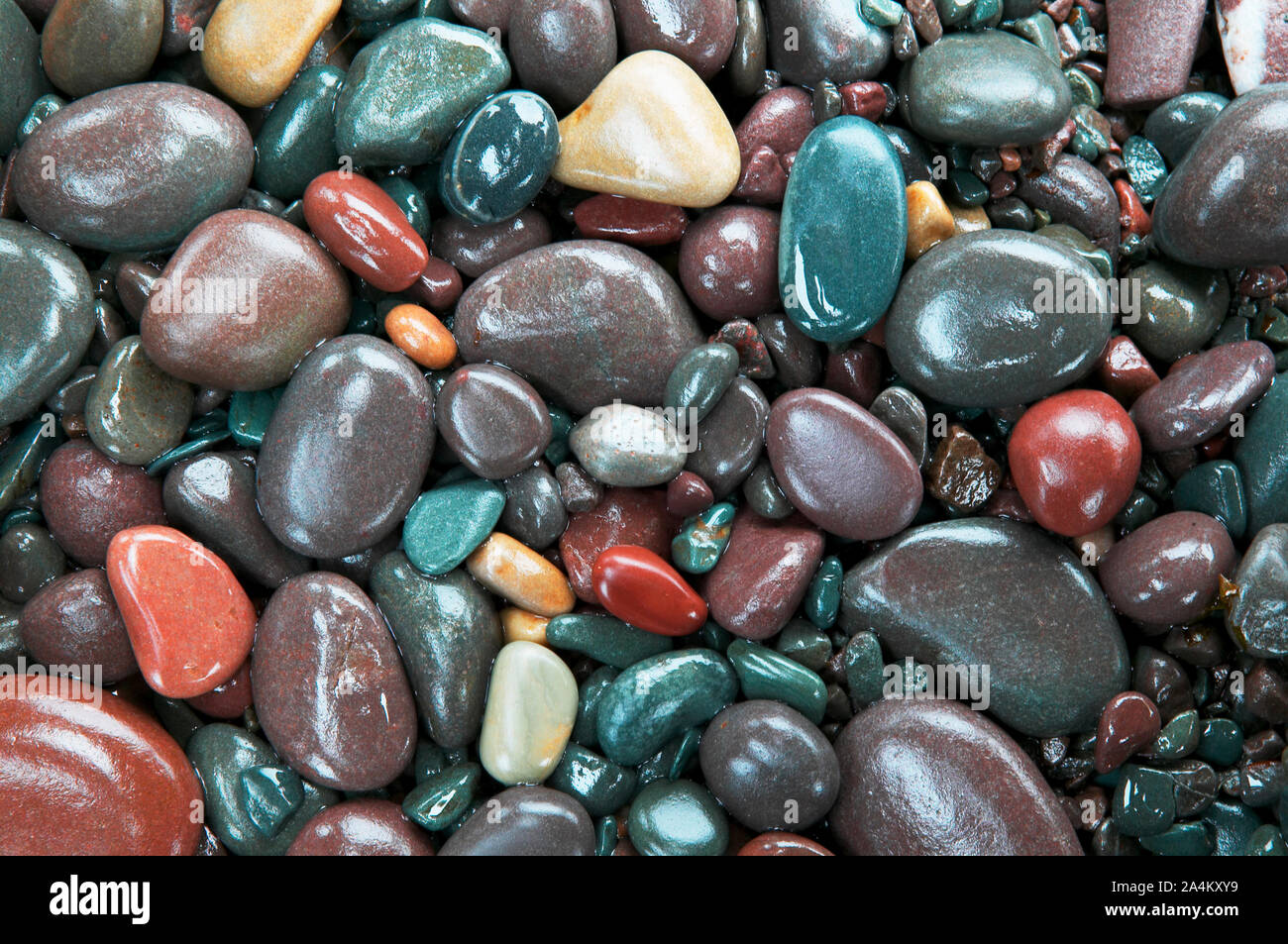 Nature shapes hi-res stock photography and images - Alamy