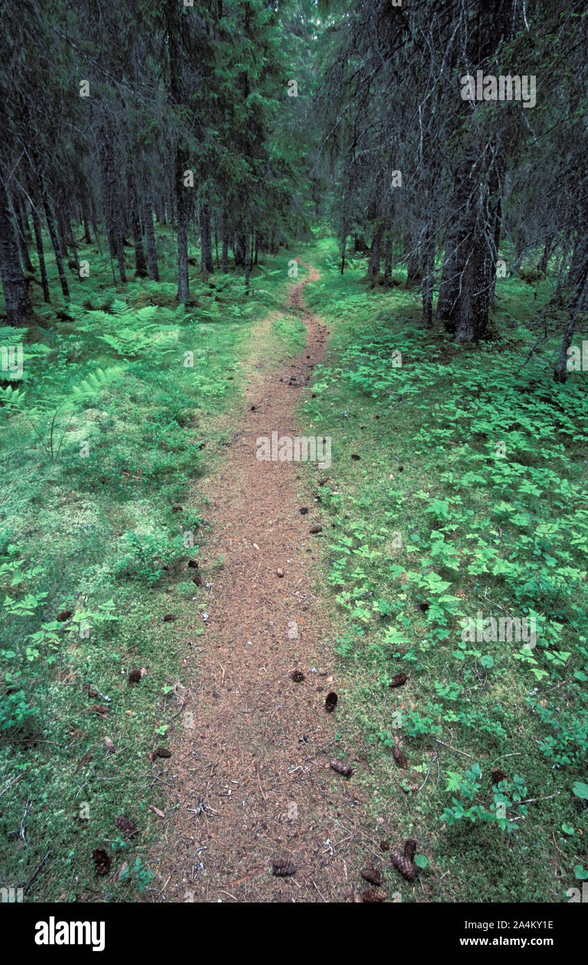 Grong grong hi-res stock photography and images - Alamy