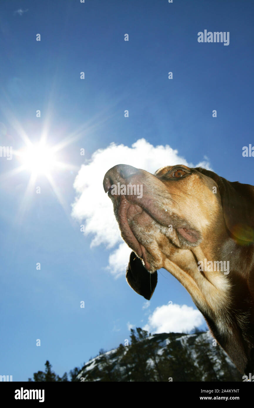 Light form below hi-res stock photography and images - Alamy