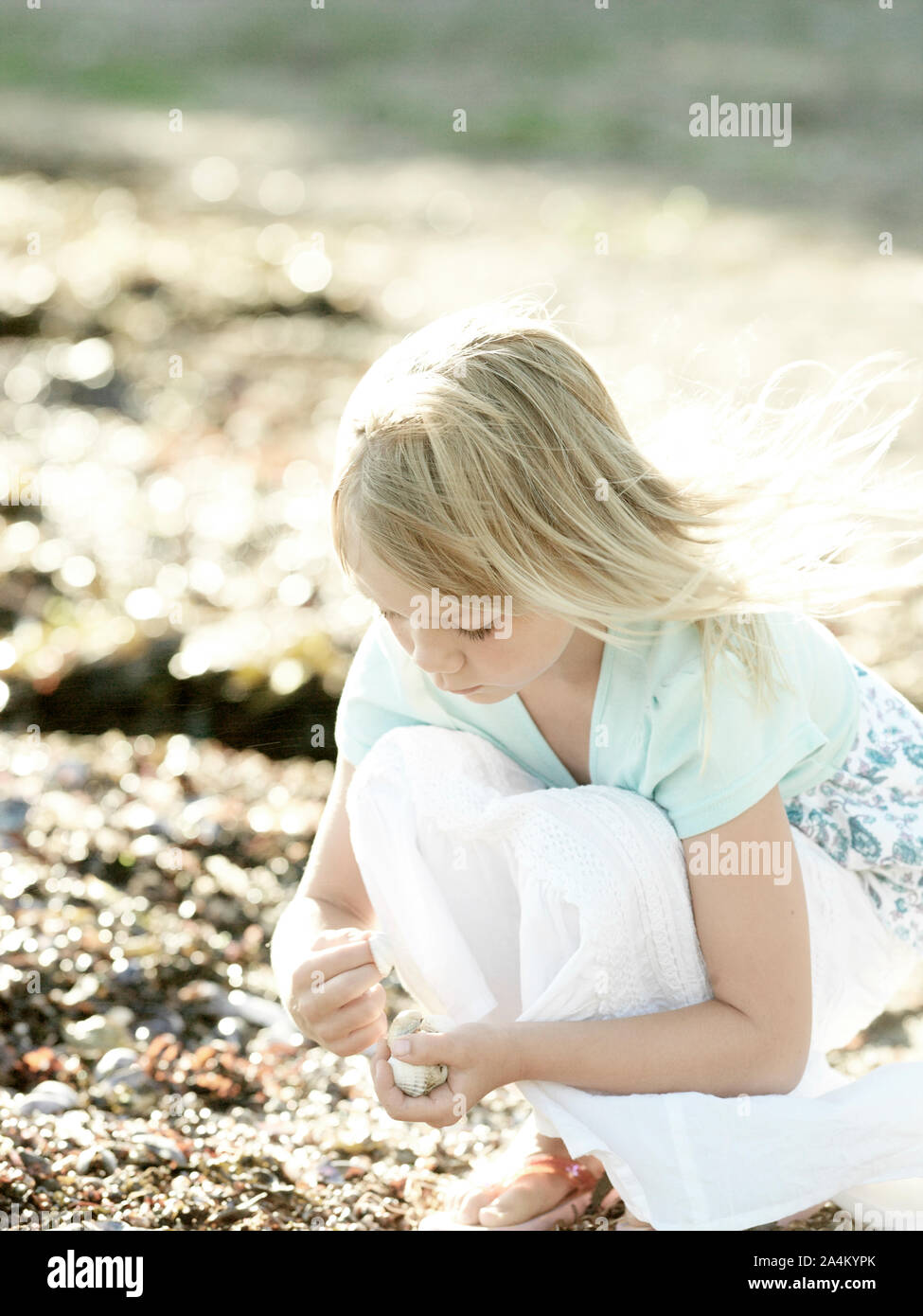 Girl picking/collecting shells Stock Photo - Alamy