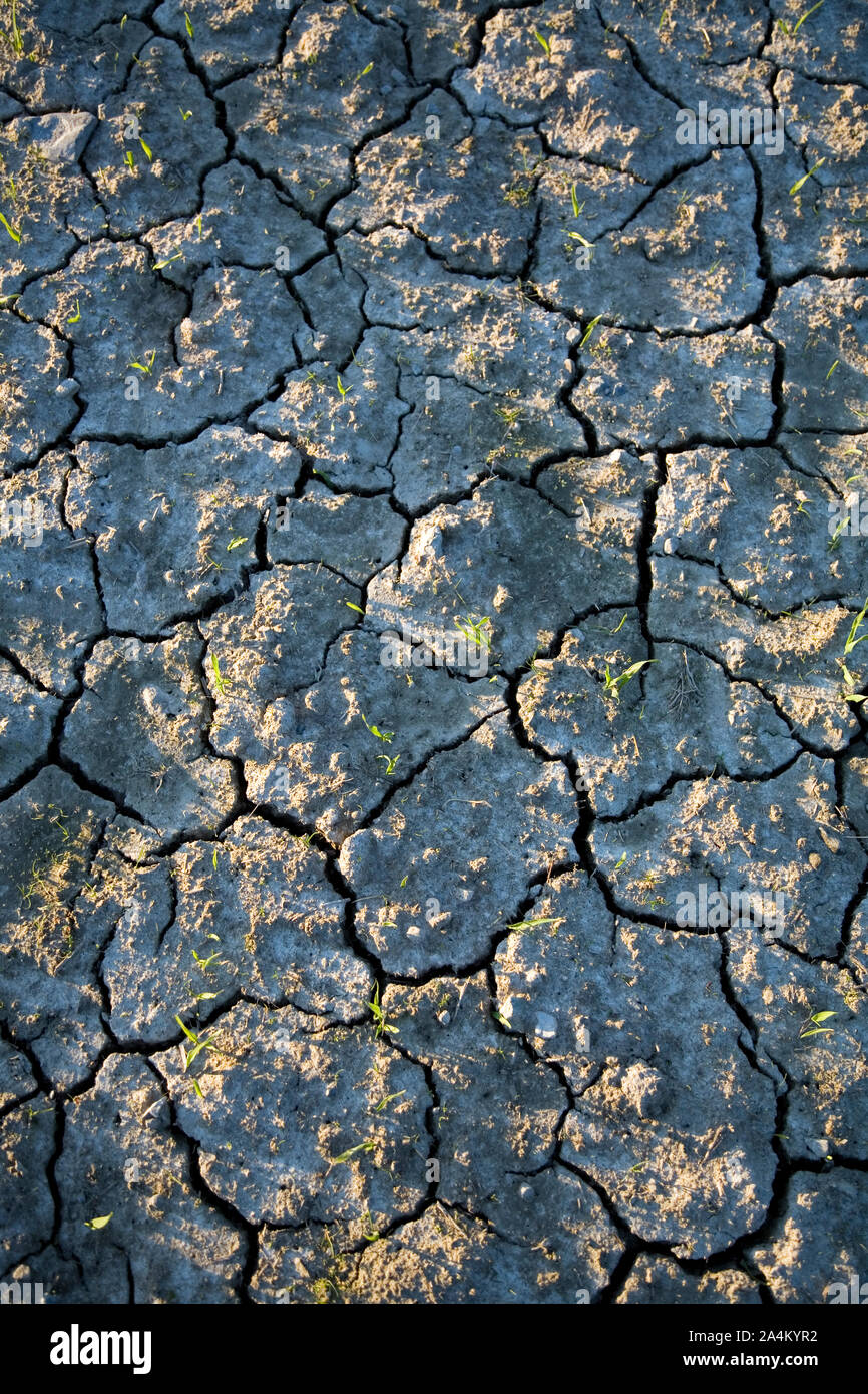 Cracks -- dry land Stock Photo - Alamy
