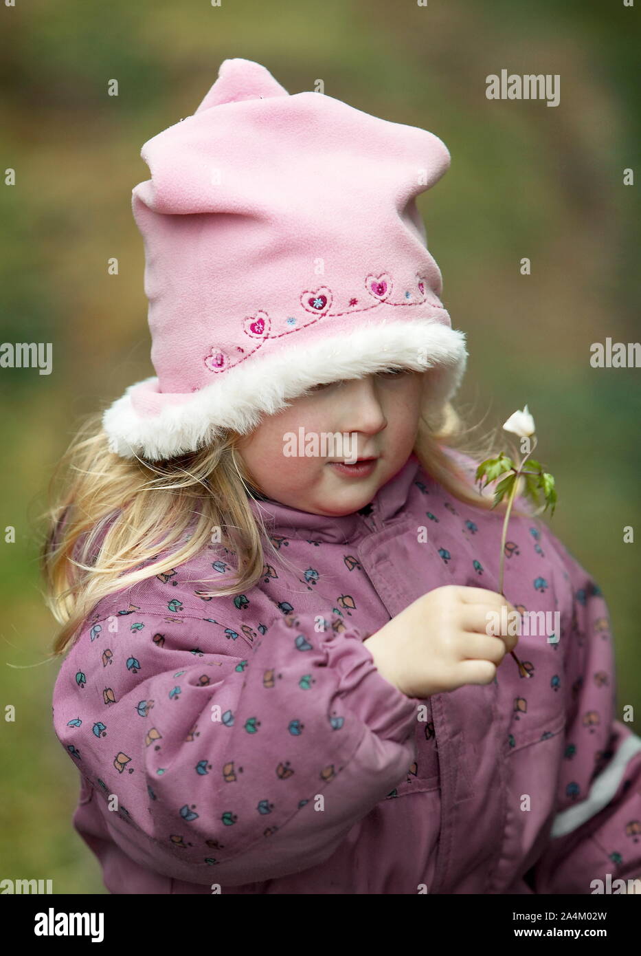 Girl picking a white anemone Stock Photo - Alamy