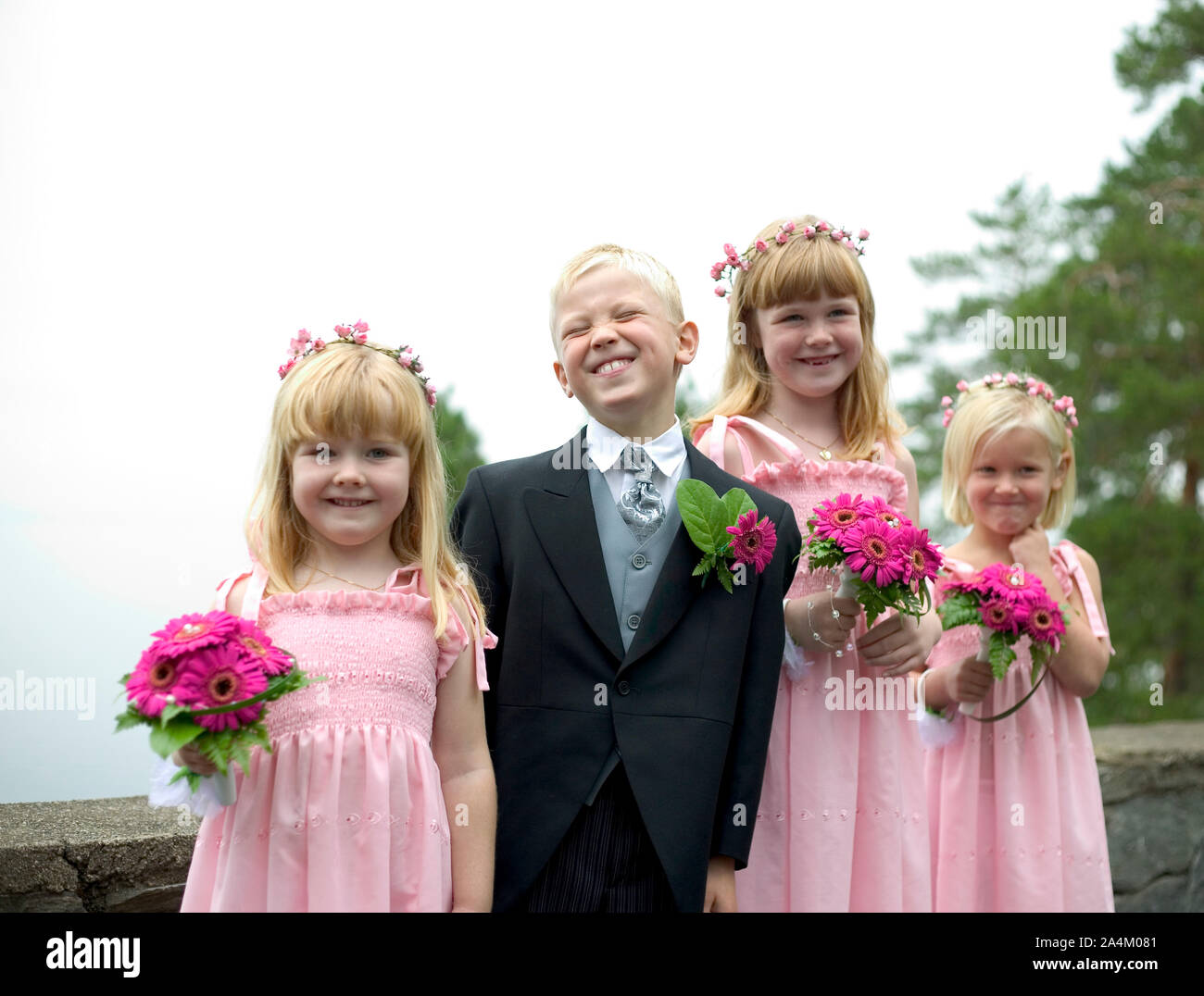 3 bridesmaids hi-res stock photography and images - Alamy