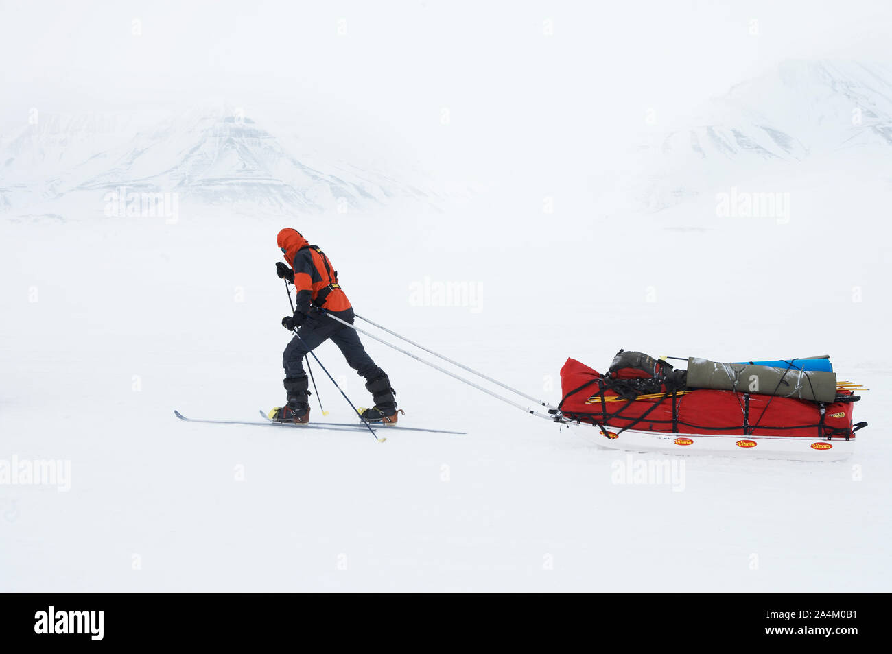 Pulling a pulka pulk luggage Stock Photo - Alamy