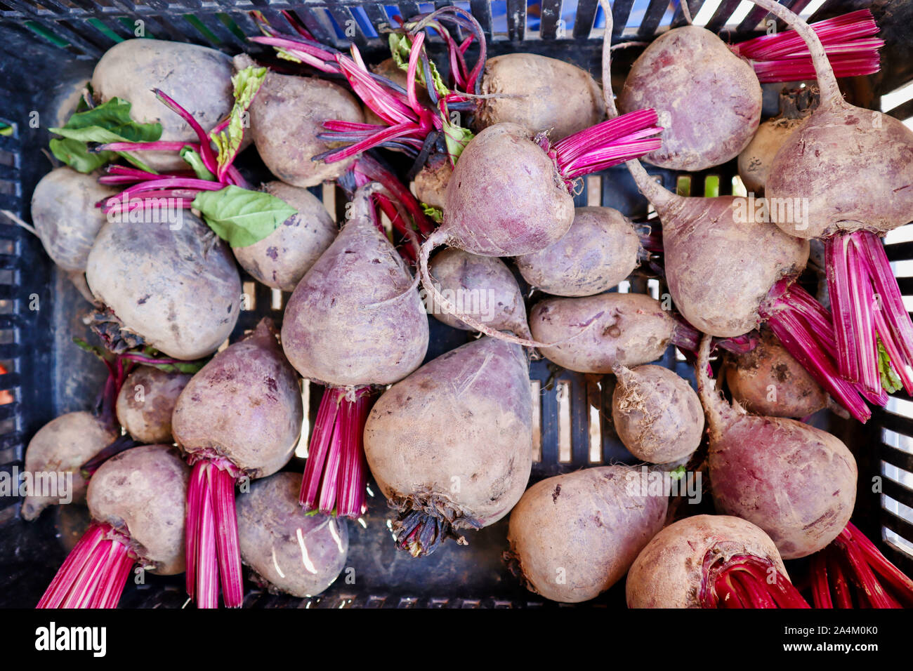 Top down view of a pile of beetroot Stock Photo - Alamy