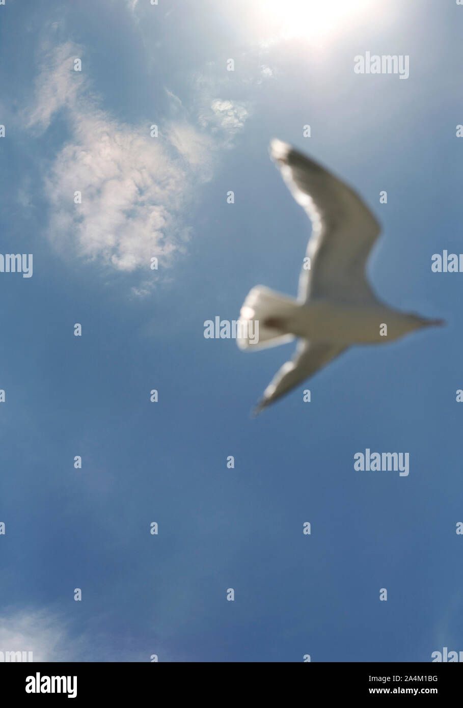 Flying symbols hi-res stock photography and images - Alamy