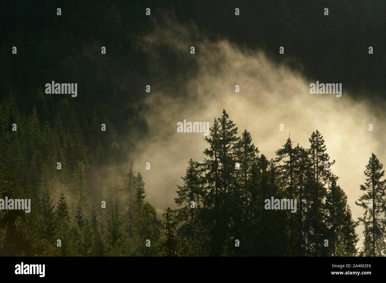Nordmarka hi-res stock photography and images - Alamy