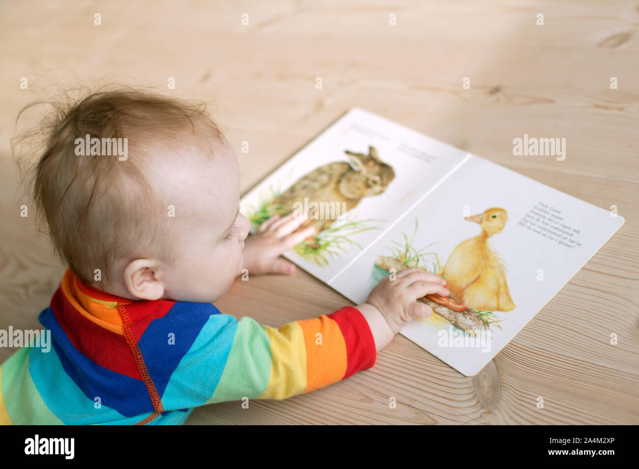 Baby reading book Stock Photo - Alamy