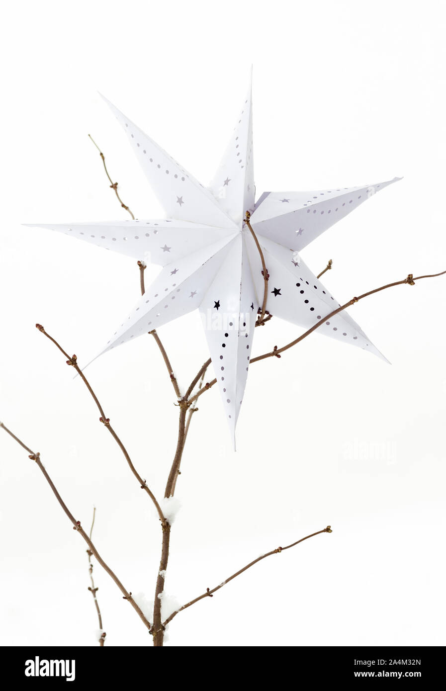 White stars in tree Cut Out Stock Images & Pictures - Alamy