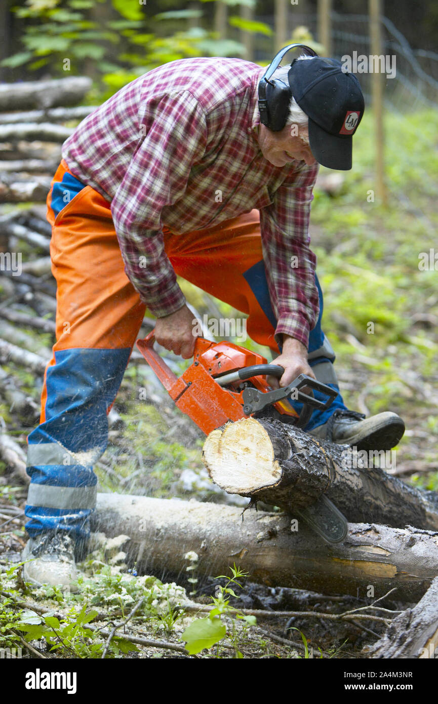 Forest workers hi-res stock photography and images - Alamy