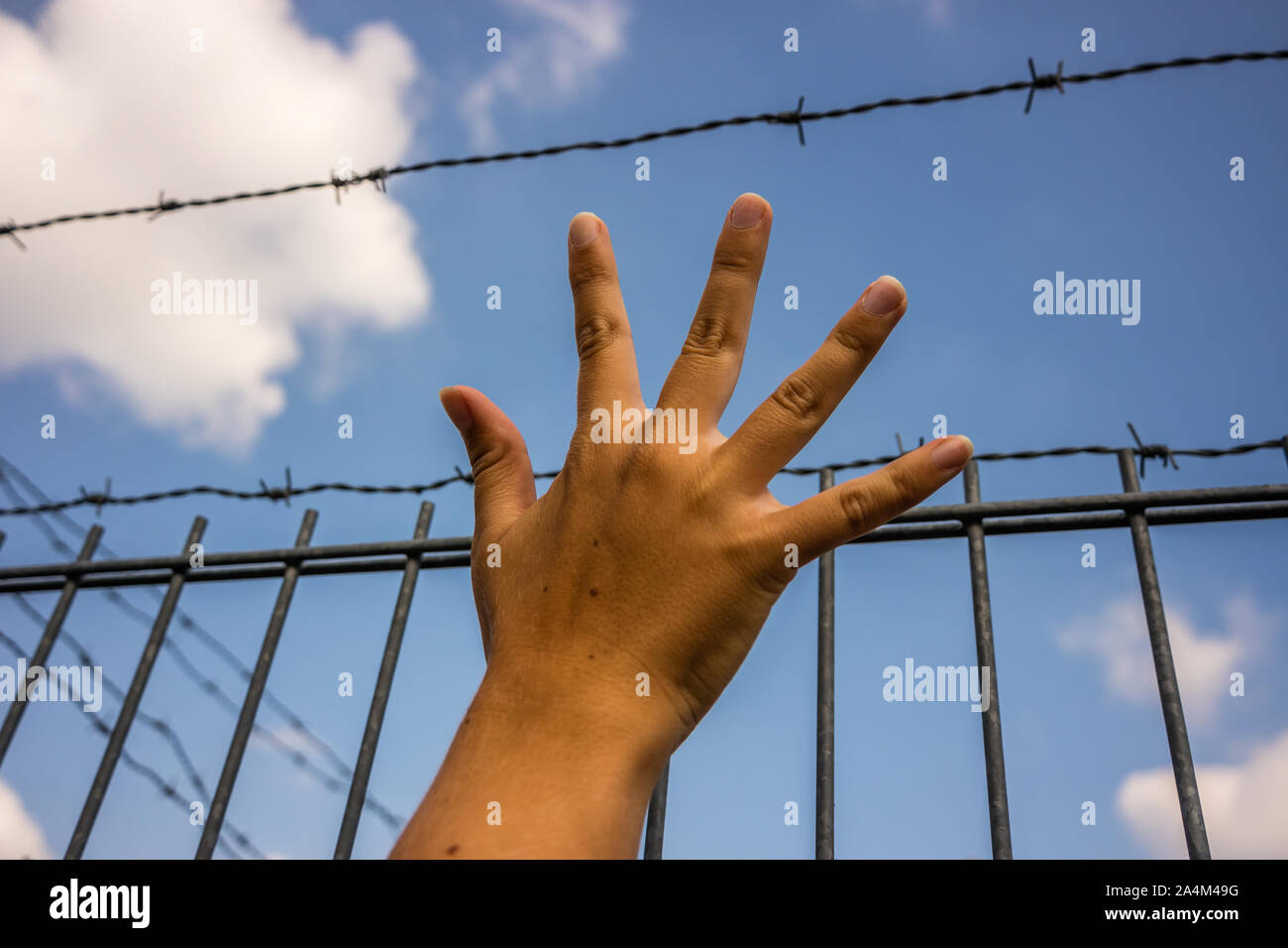 Refugee men hand and fence Stock Photo - Alamy