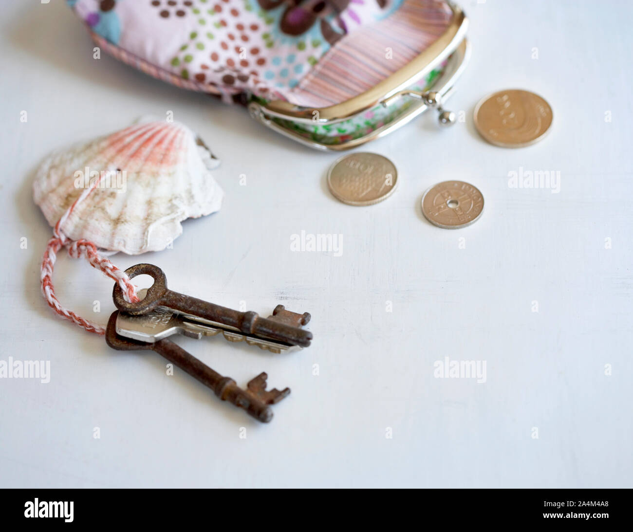 Shell money hi-res stock photography and images - Alamy