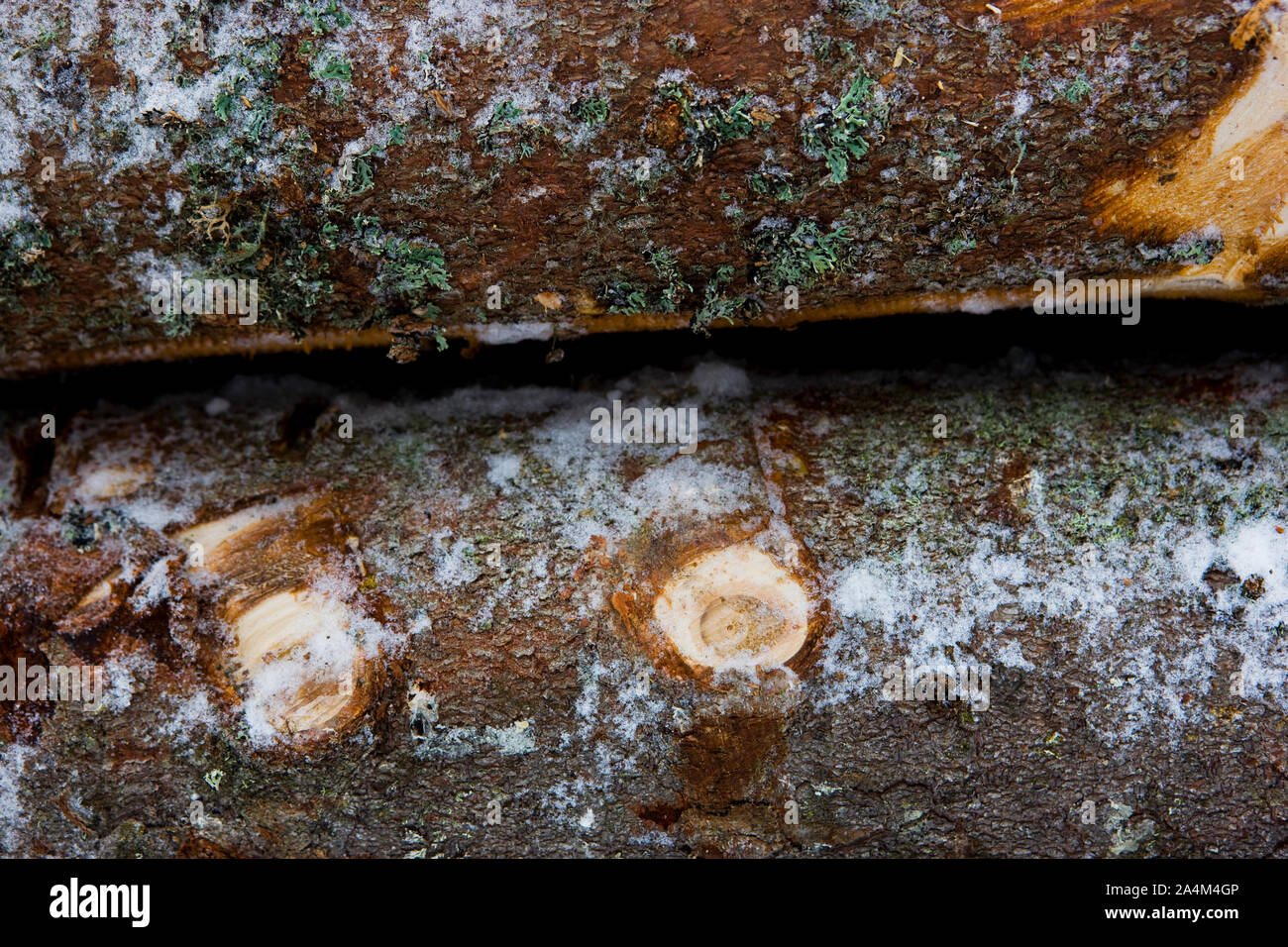 Timber form hi-res stock photography and images - Alamy