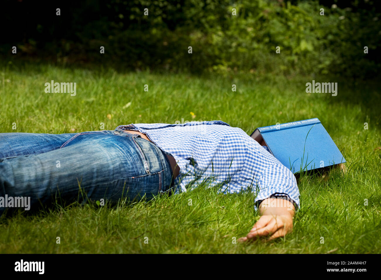 Woman lying in the grass. Sleeping with book over face. Relaxed Stock ...