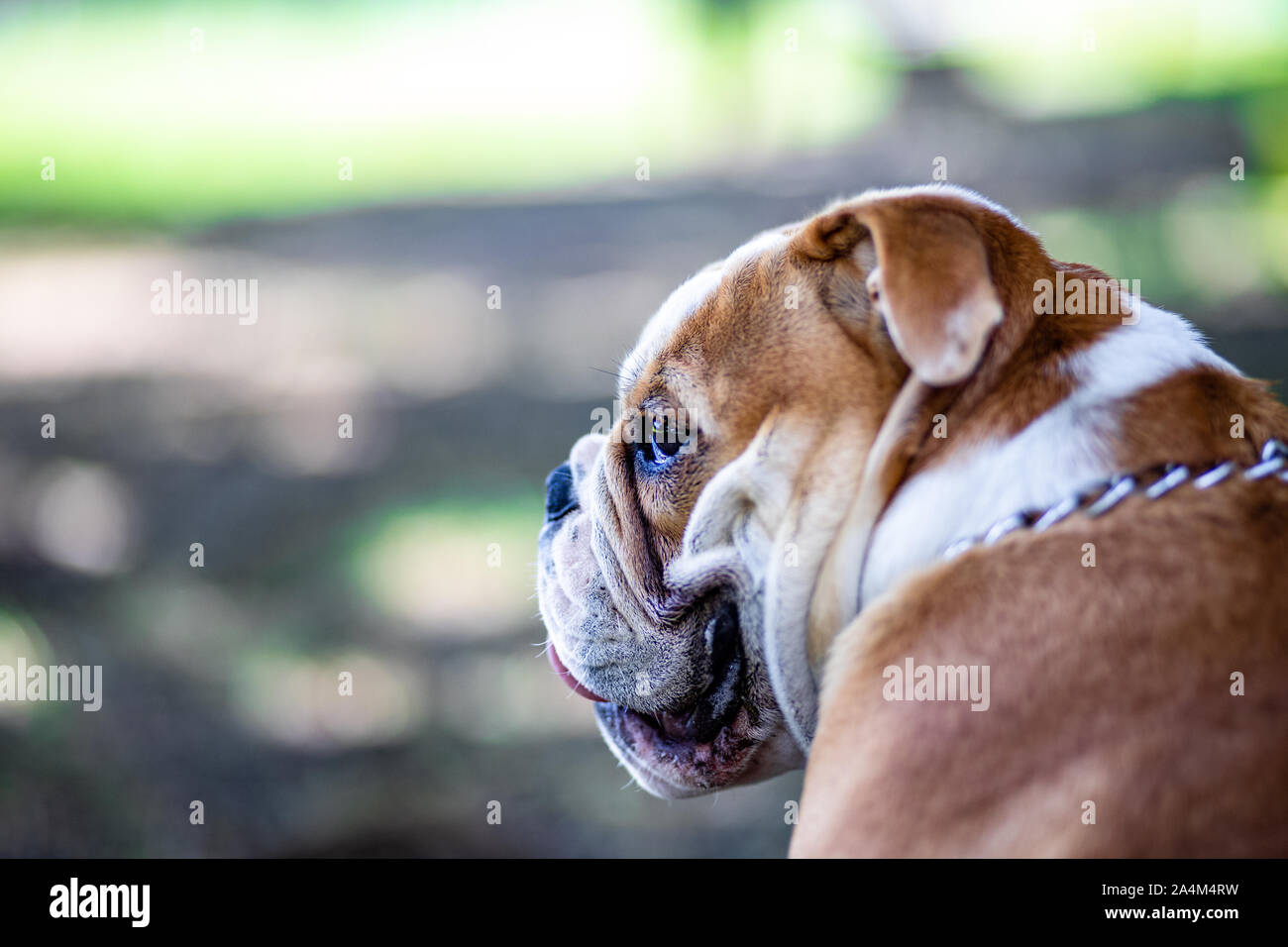 Molly guard hi-res stock photography and images - Alamy