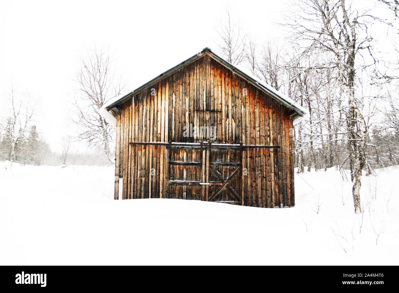 An old wooden shed Stock Photo - Alamy