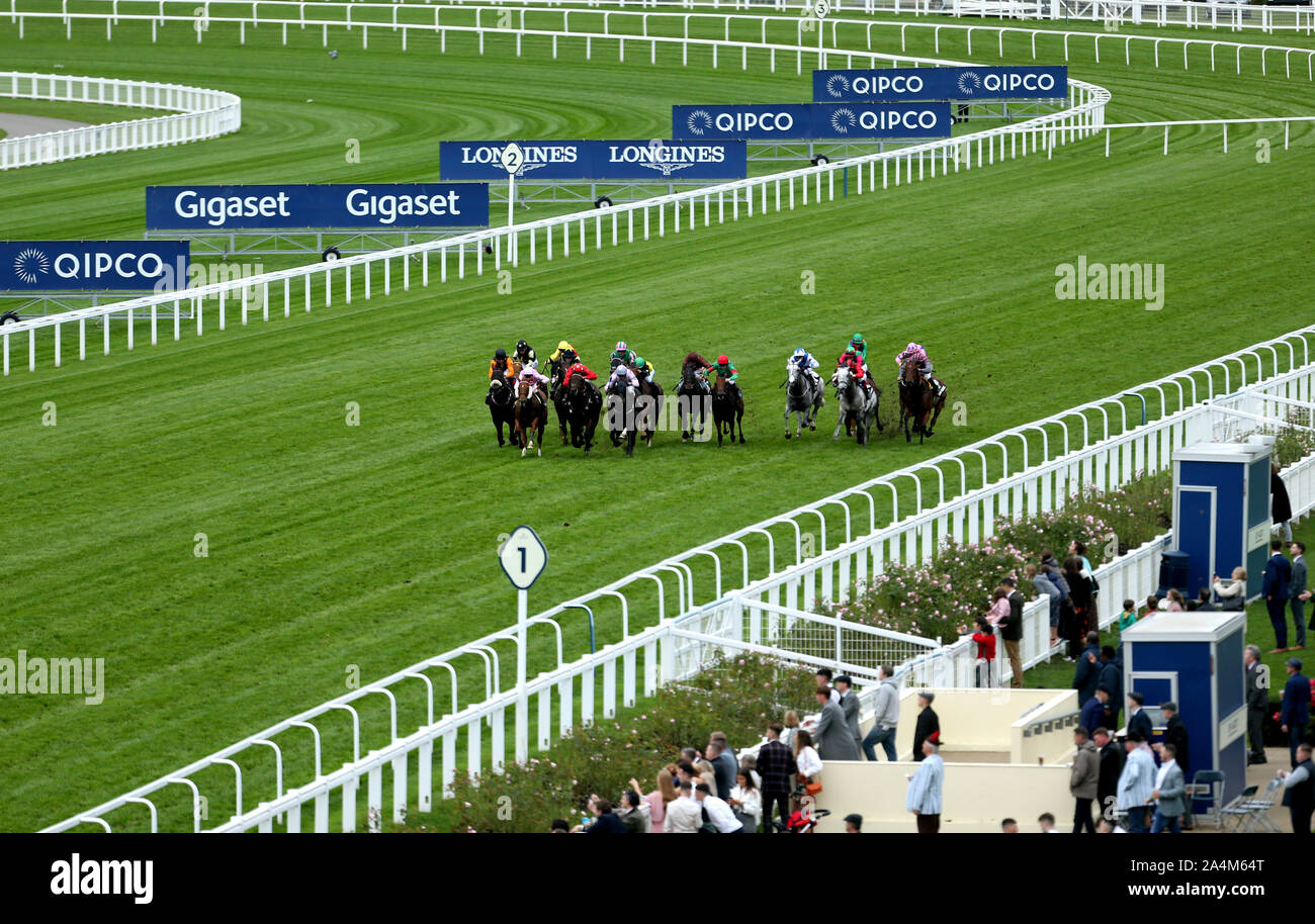 Runners and riders in action in the McGee Group Handicap at Ascot ...