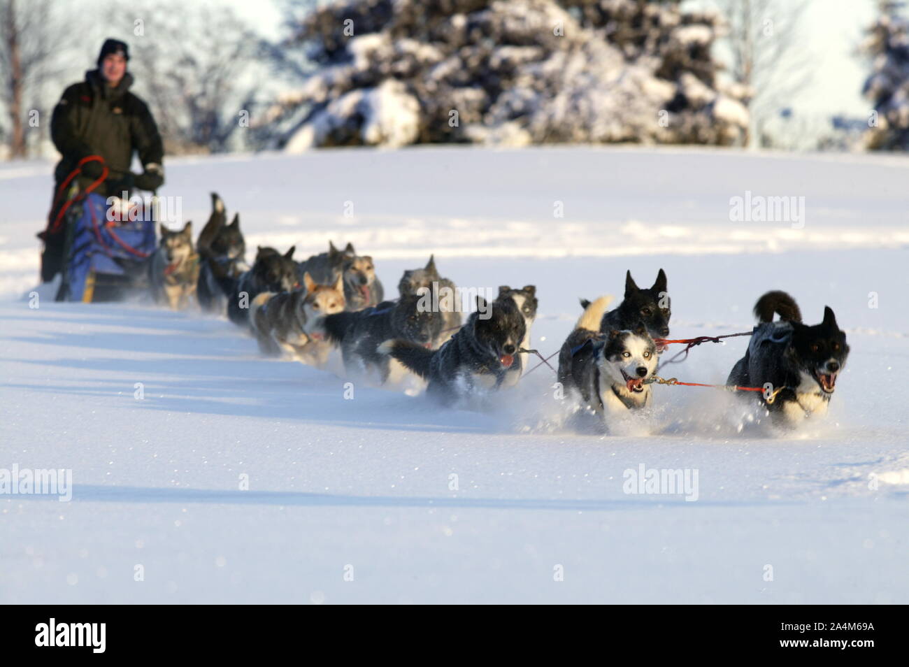 Thermal movements hi-res stock photography and images - Alamy