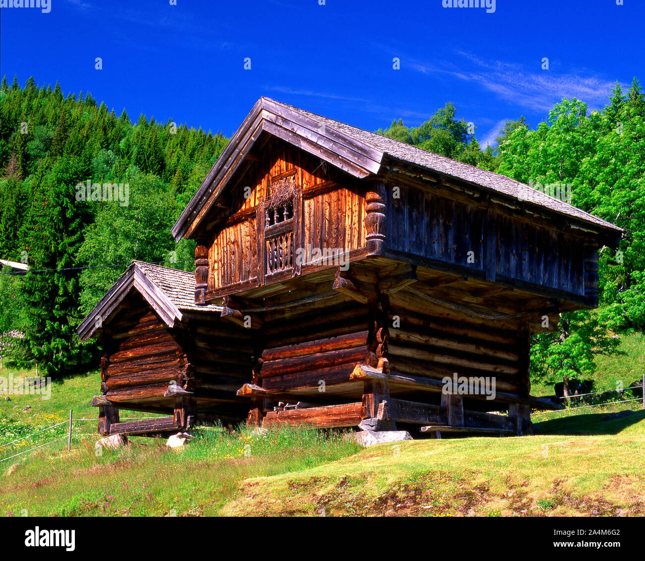 Stabbur/storehouse on pillars in Hjartdal, Telemark Stock Photo - Alamy