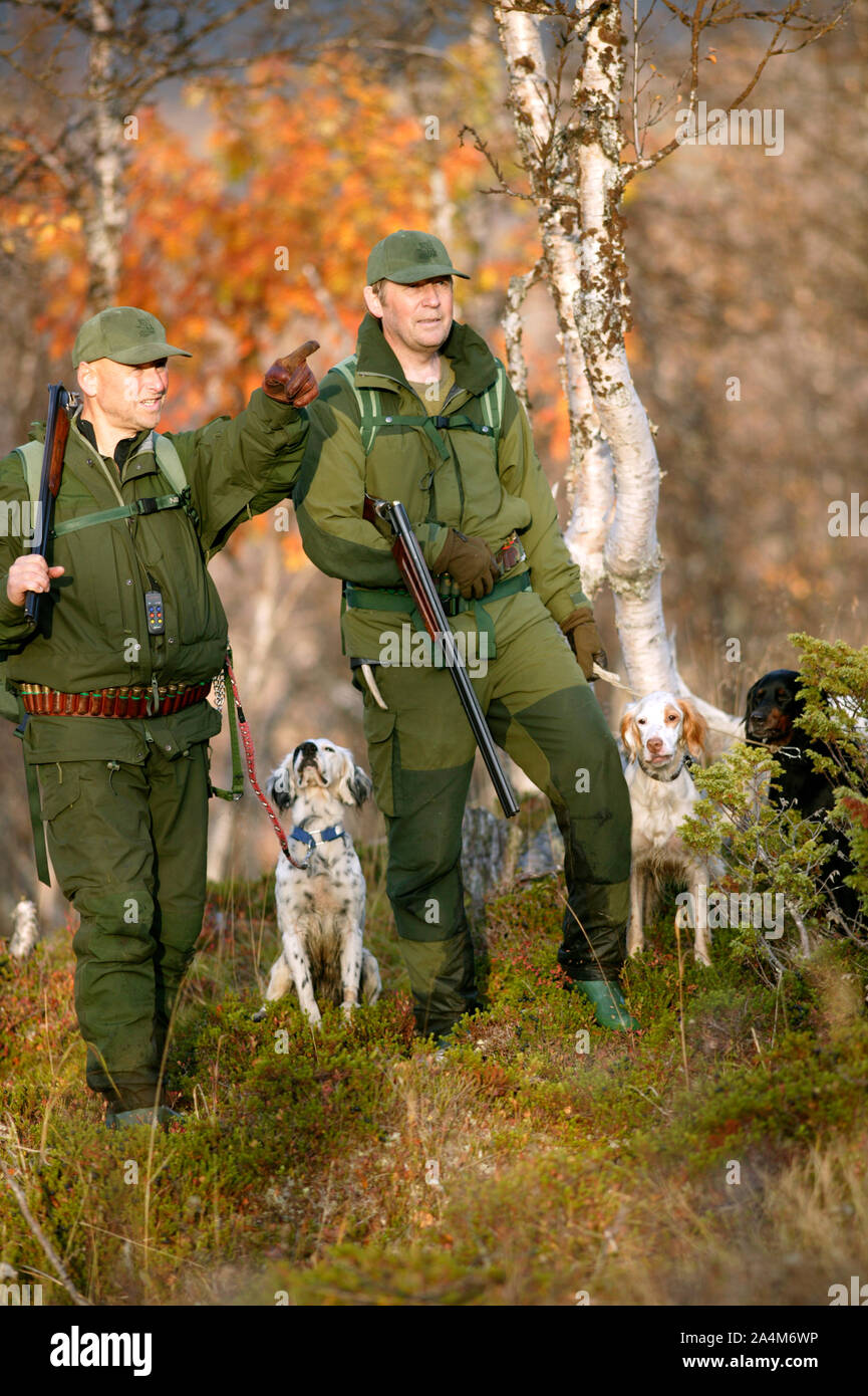 Men hunting with dogs Stock Photo - Alamy