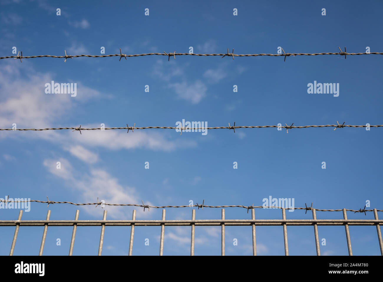 Border fence with barbed wire Stock Photo - Alamy