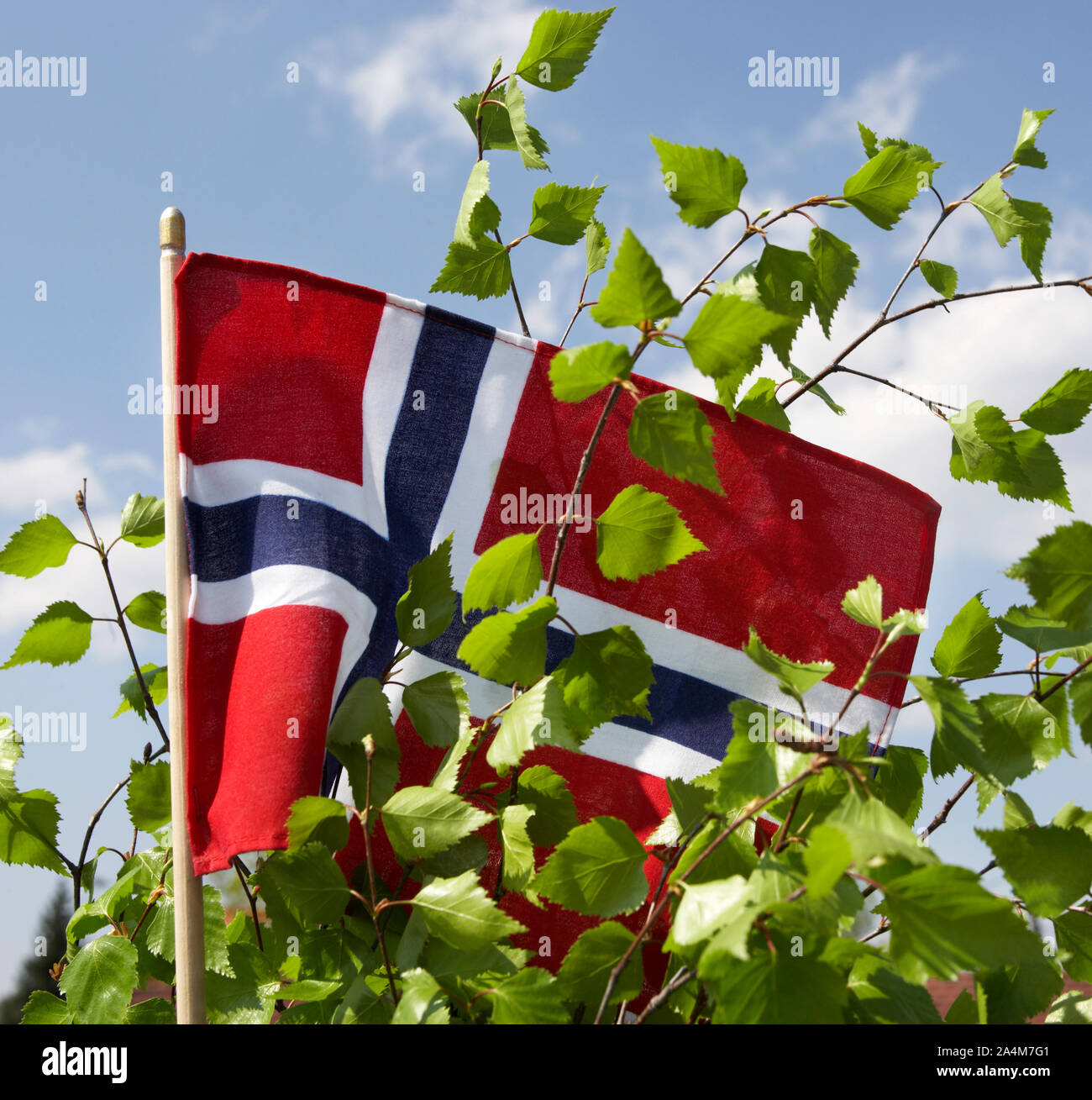 Flags branches hi-res stock photography and images - Alamy