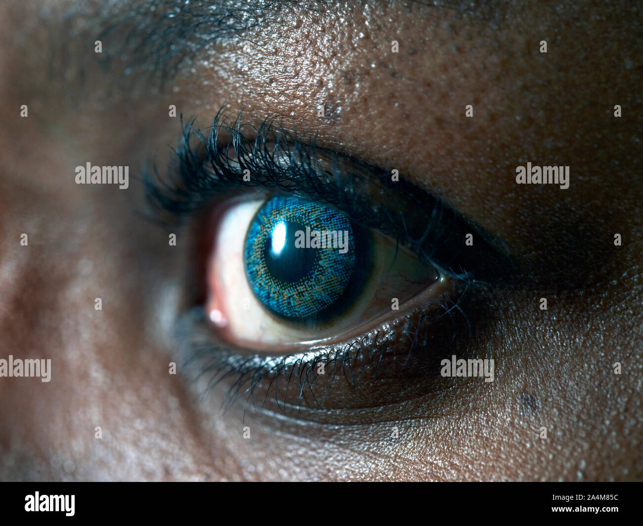 Blue eyes - eye ball Stock Photo - Alamy