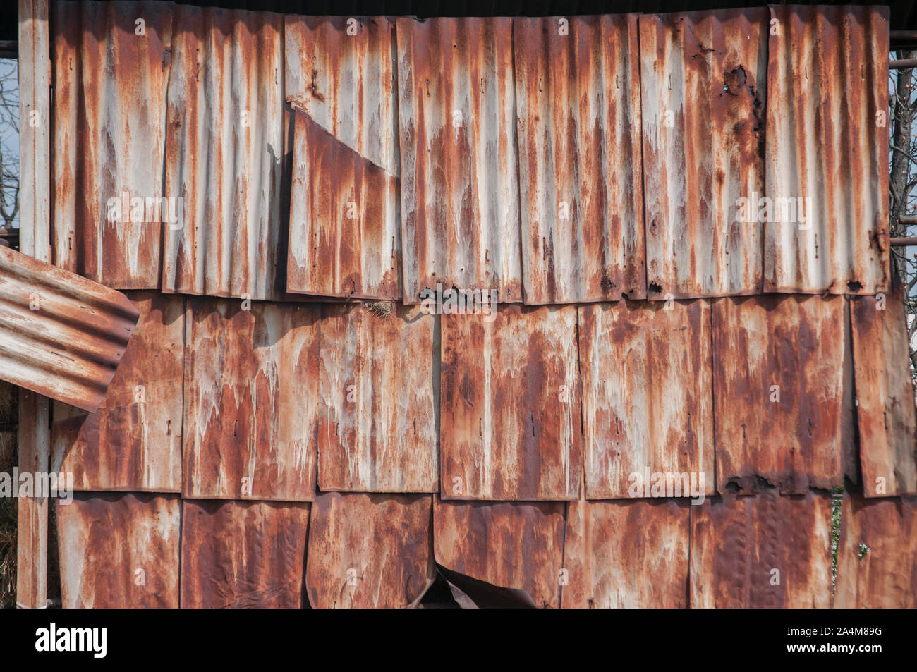 Old weathered corroded rusty tin wall surface panels closeup as grunge ...