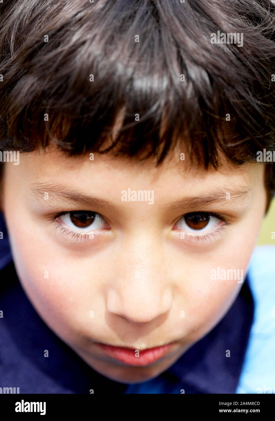 6 portraits hi-res stock photography and images - Alamy