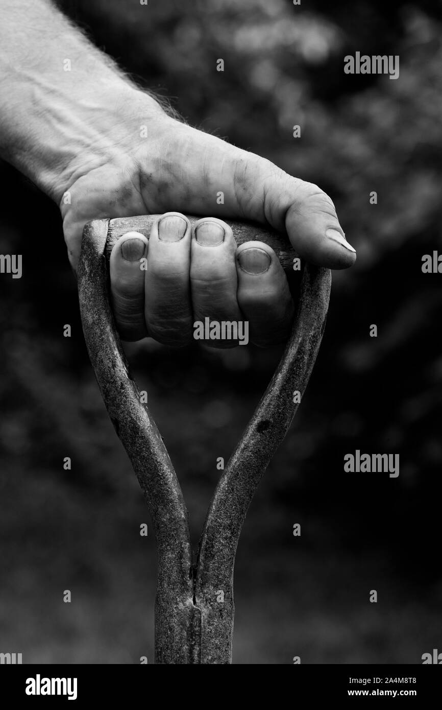 Man holding spade Stock Photo - Alamy