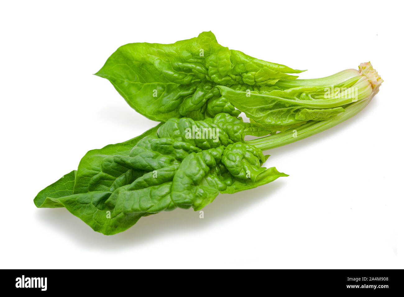 Green fresh spinach isolated on white background Stock Photo - Alamy