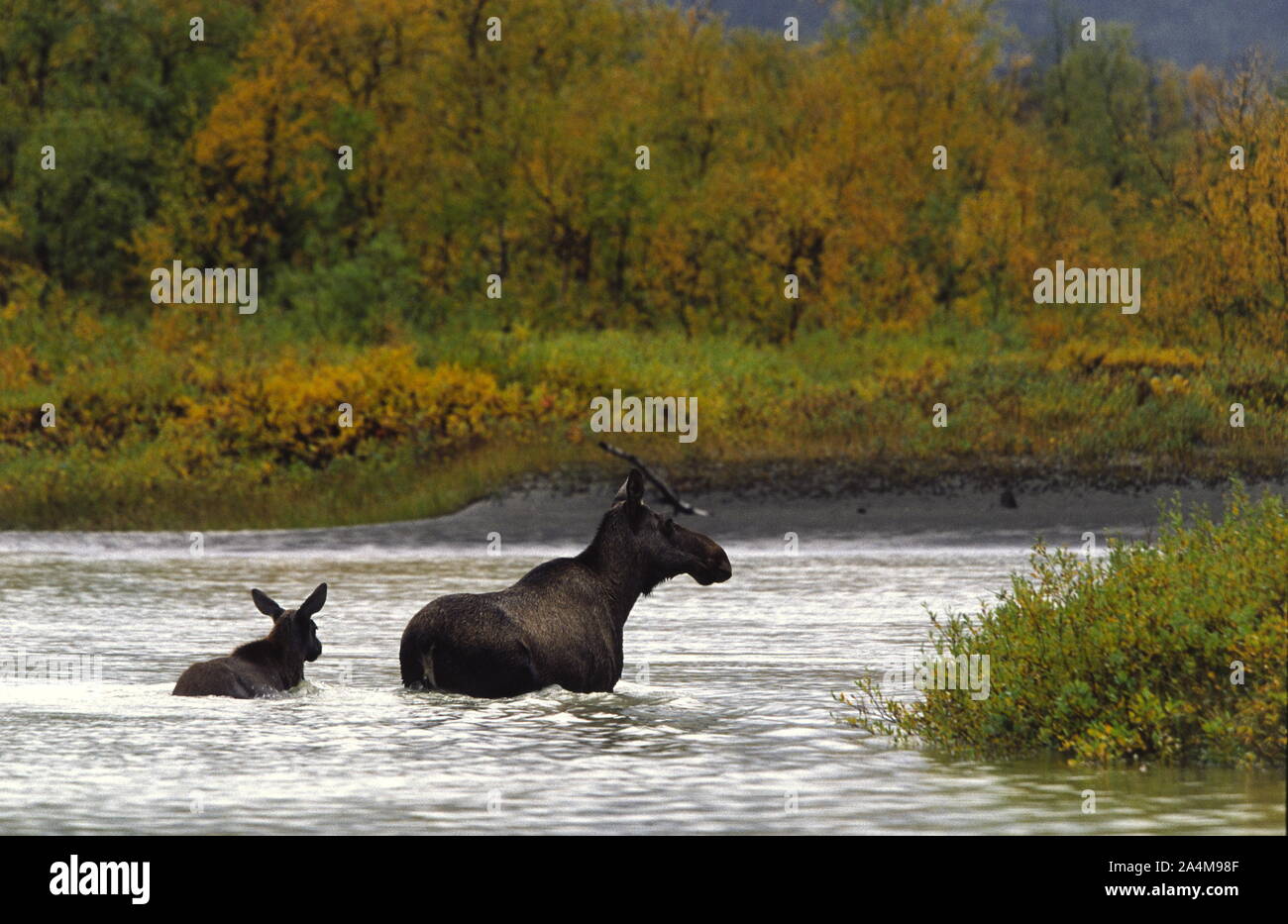 Rapa river hi-res stock photography and images - Alamy