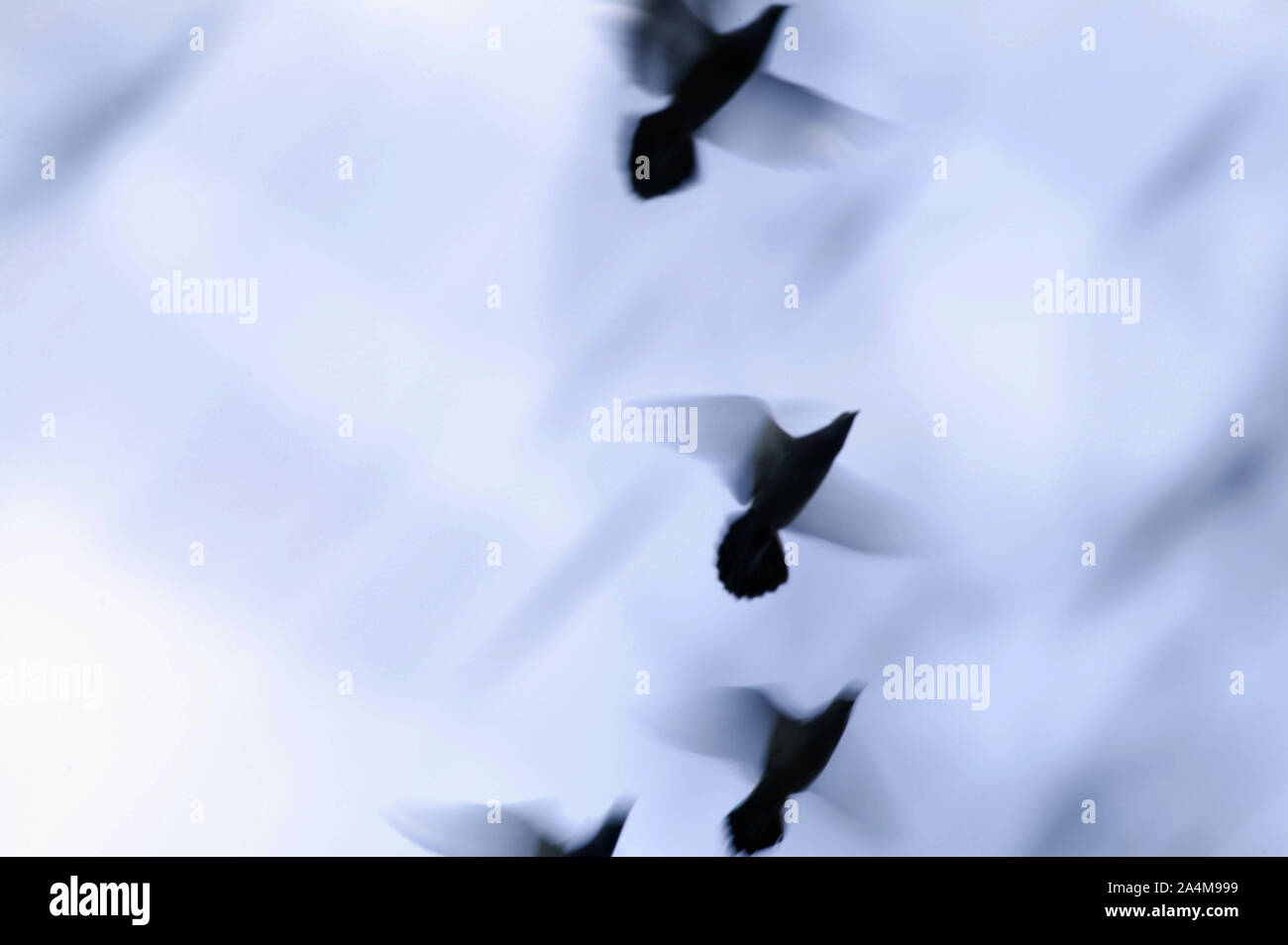 Flying symbols hi-res stock photography and images - Alamy