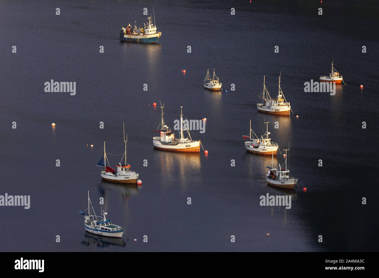 Fleet of boats at Sørvågen in Lofoten Stock Photo - Alamy