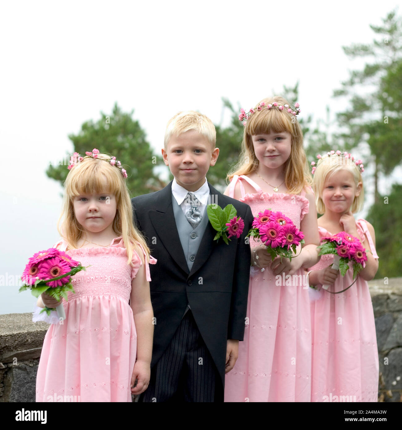 3 bridesmaids hi-res stock photography and images - Alamy