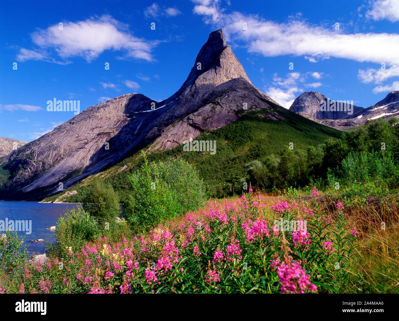 Stetind in Tysfjord county Stock Photo - Alamy