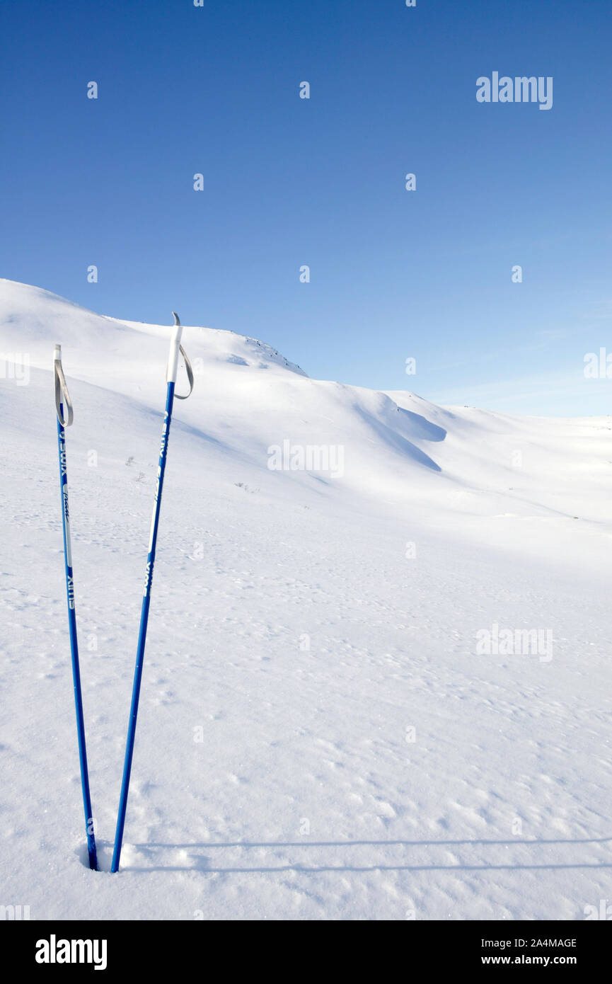 Ski sticks in the snow in Norway Stock Photo - Alamy