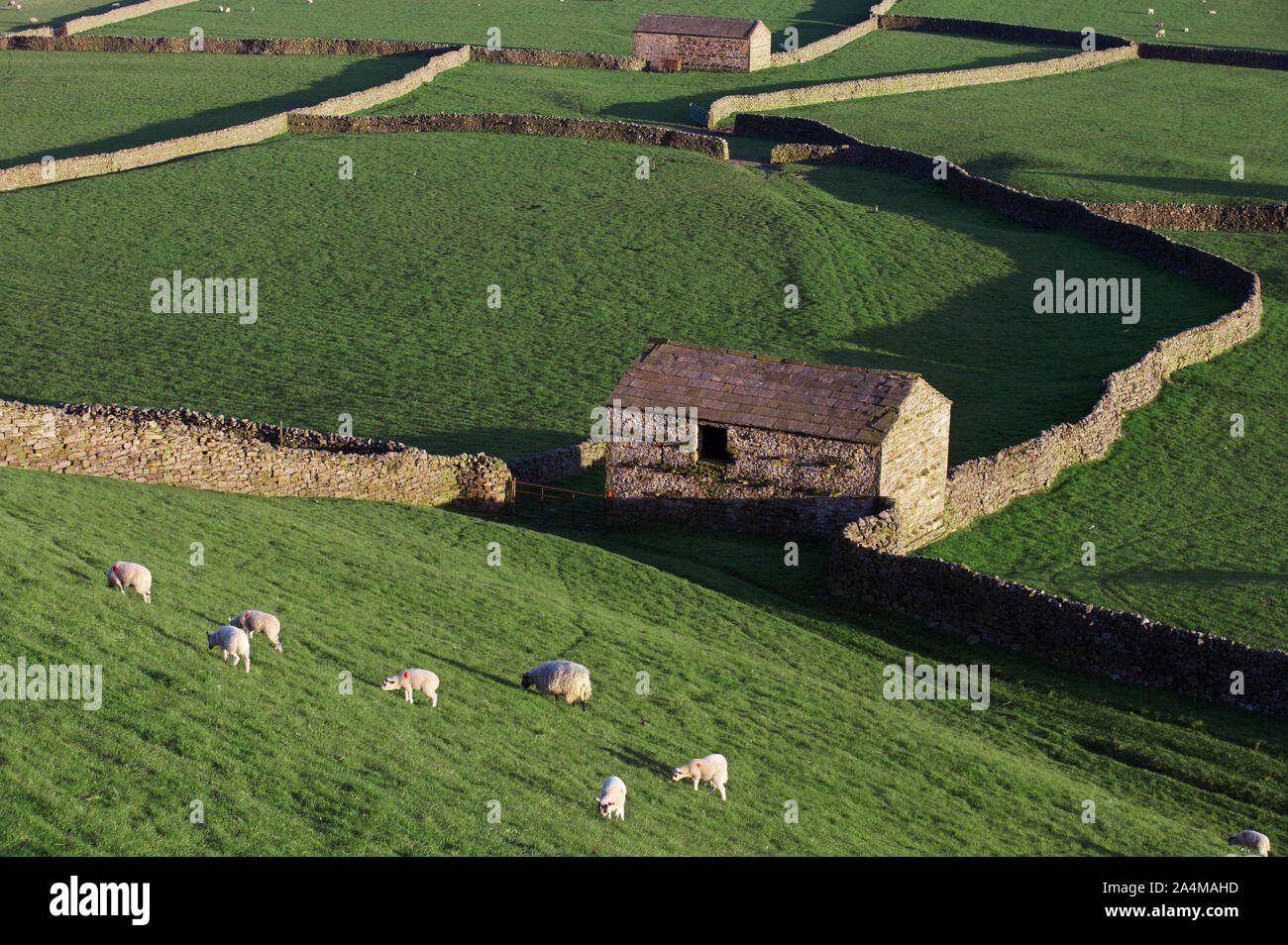 Farming in northern England Stock Photo - Alamy