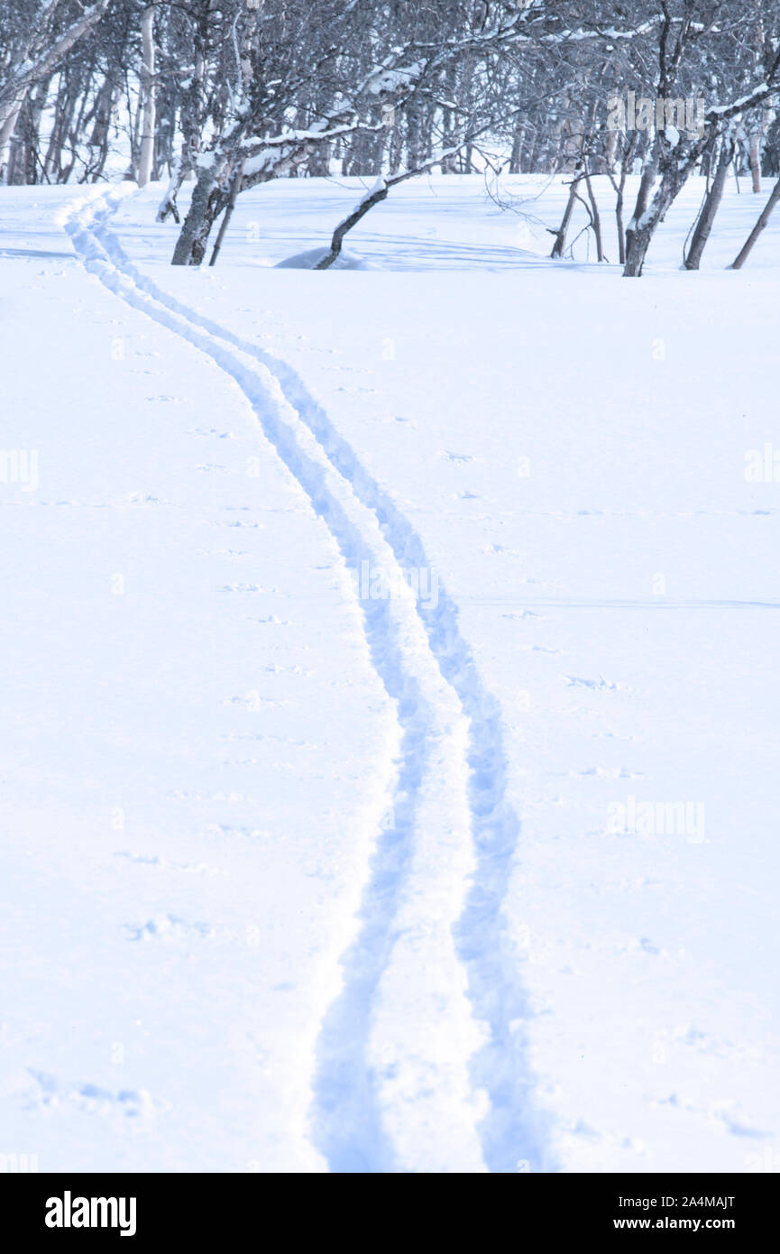 Tracks seasons hi-res stock photography and images - Alamy