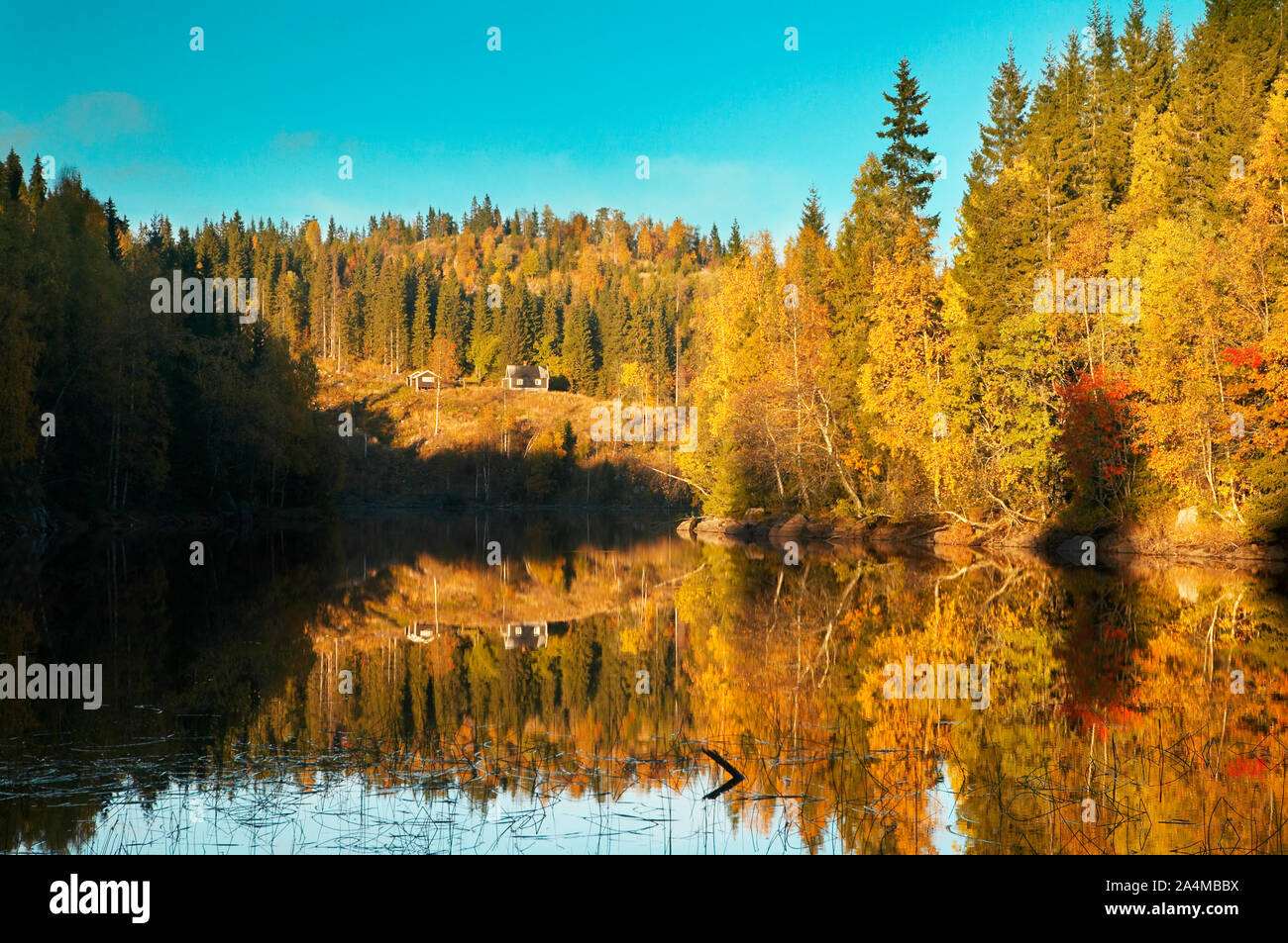Nordmarka forest hi-res stock photography and images - Alamy