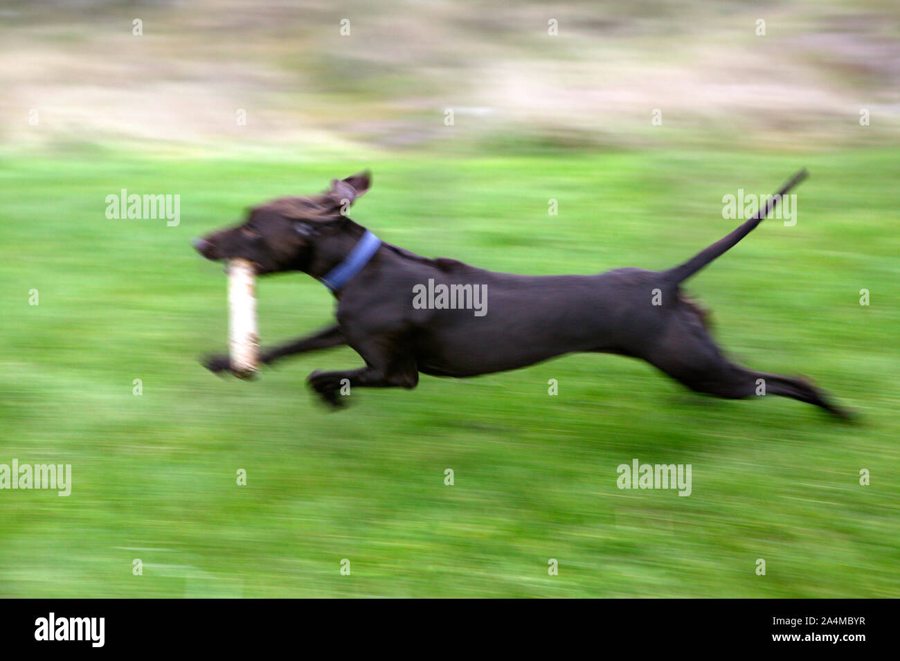 Following instructions hi-res stock photography and images - Alamy