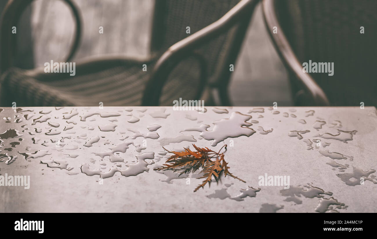 Rain tree cafe hi-res stock photography and images - Alamy